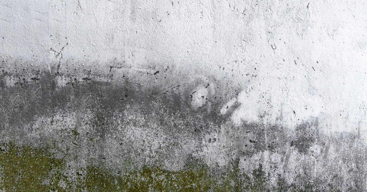 Stucco Stains and Discoloration: Causes and Remedies - All Painting Ltd